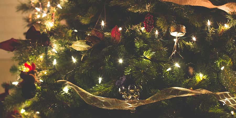 End of Year Thanks, Testimonies, and Giving | Grace Baptist Church of ...